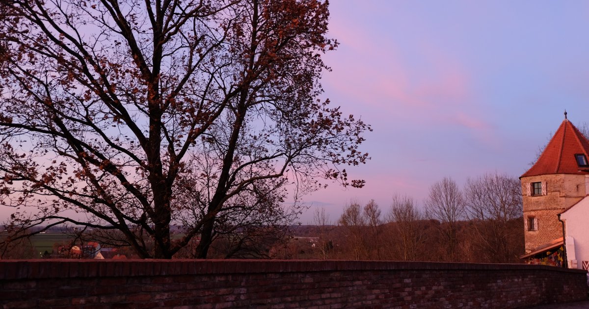 Familienführung: Redewendungen und Sprichwörter früher und heute ...